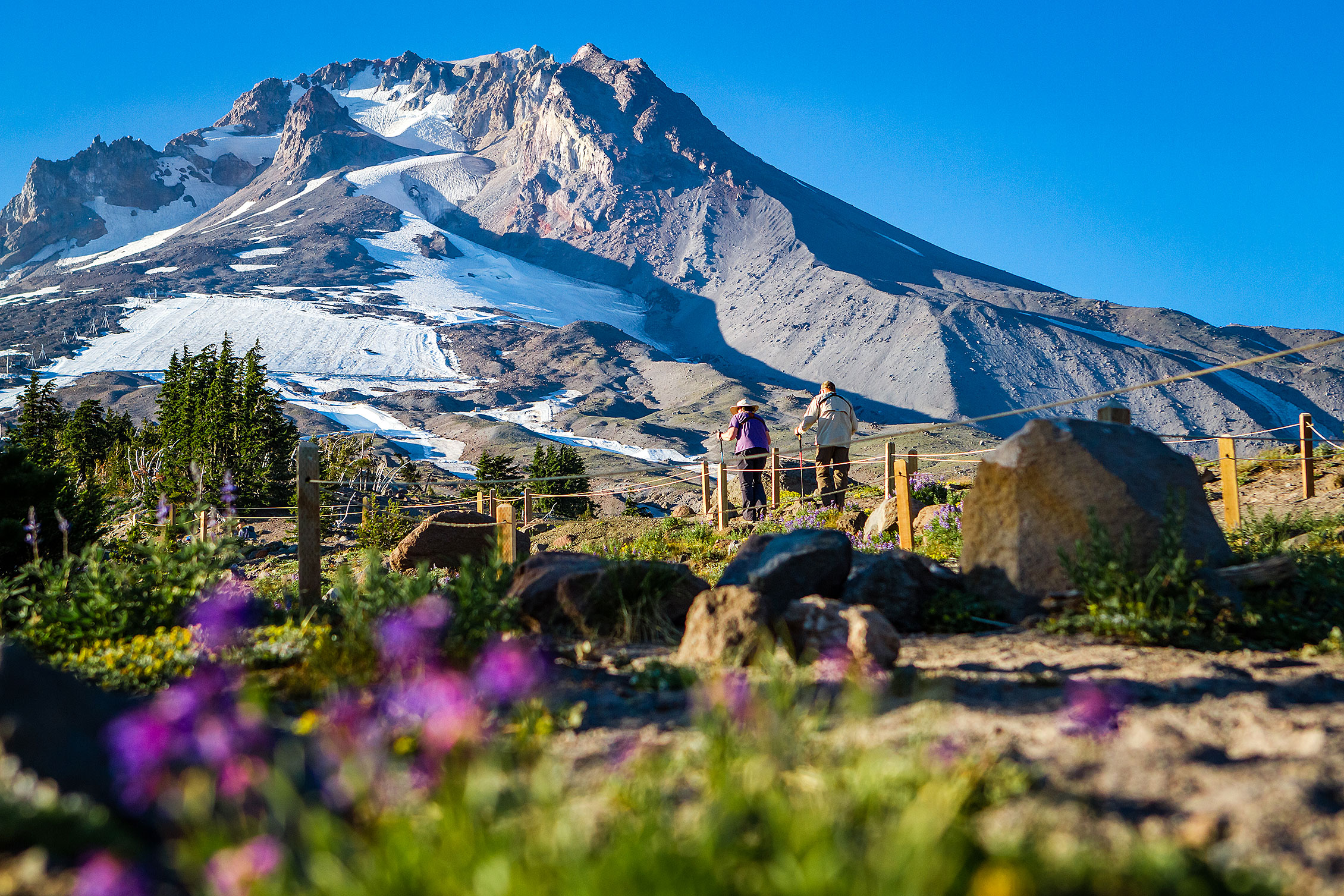 Hiking | Timberline Lodge