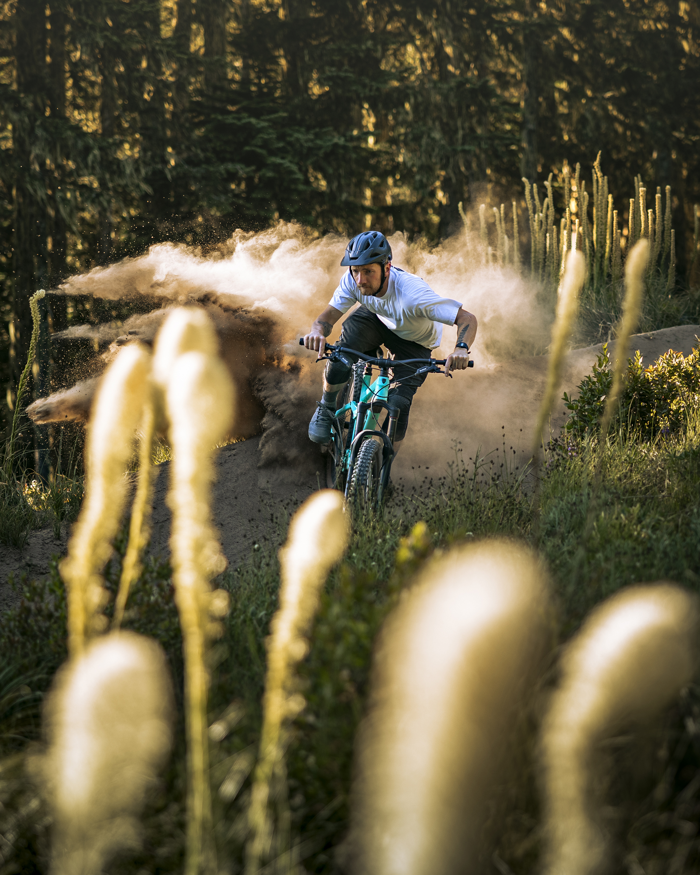 Summer | Timberline Lodge